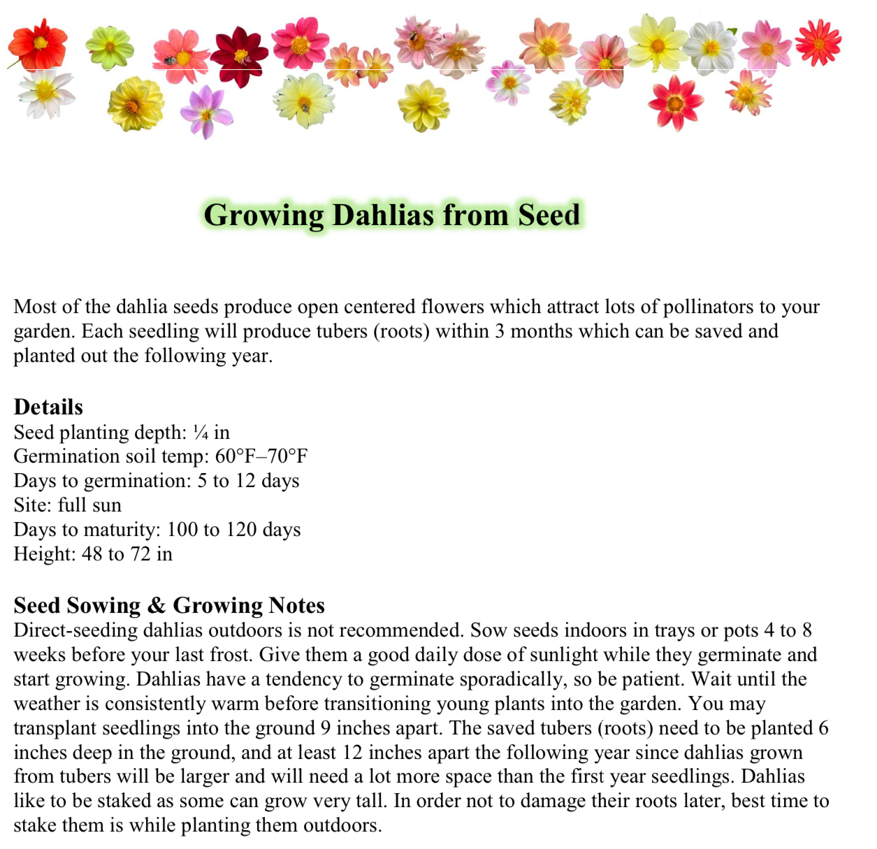 Seedling How To – NORTHERN LIGHTS GARDENS